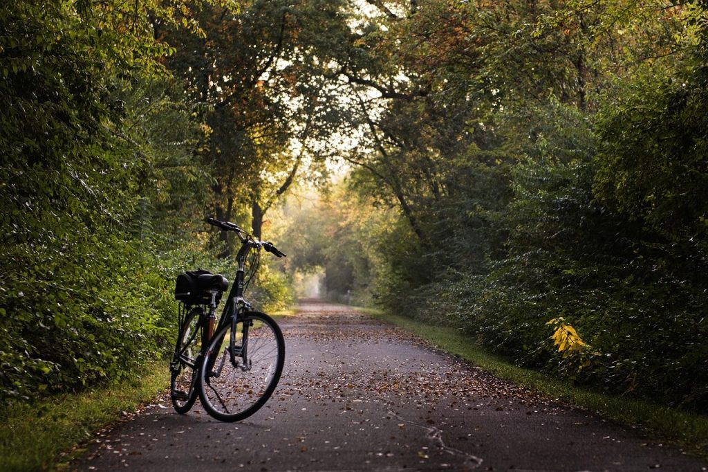 Best Materials for Long-Lasting Bike Path - Biowiki